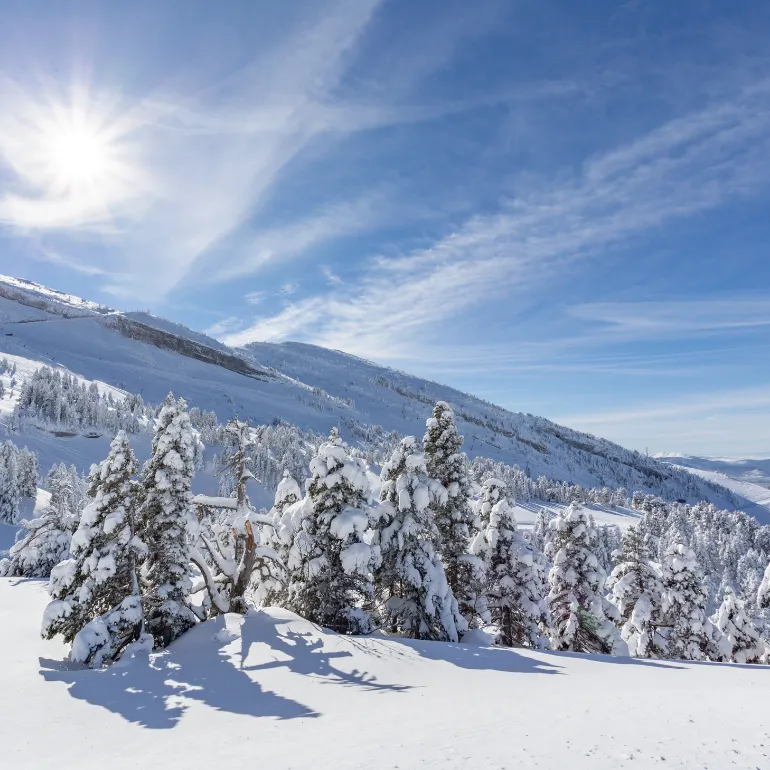 Lans en Vercors - Skipower